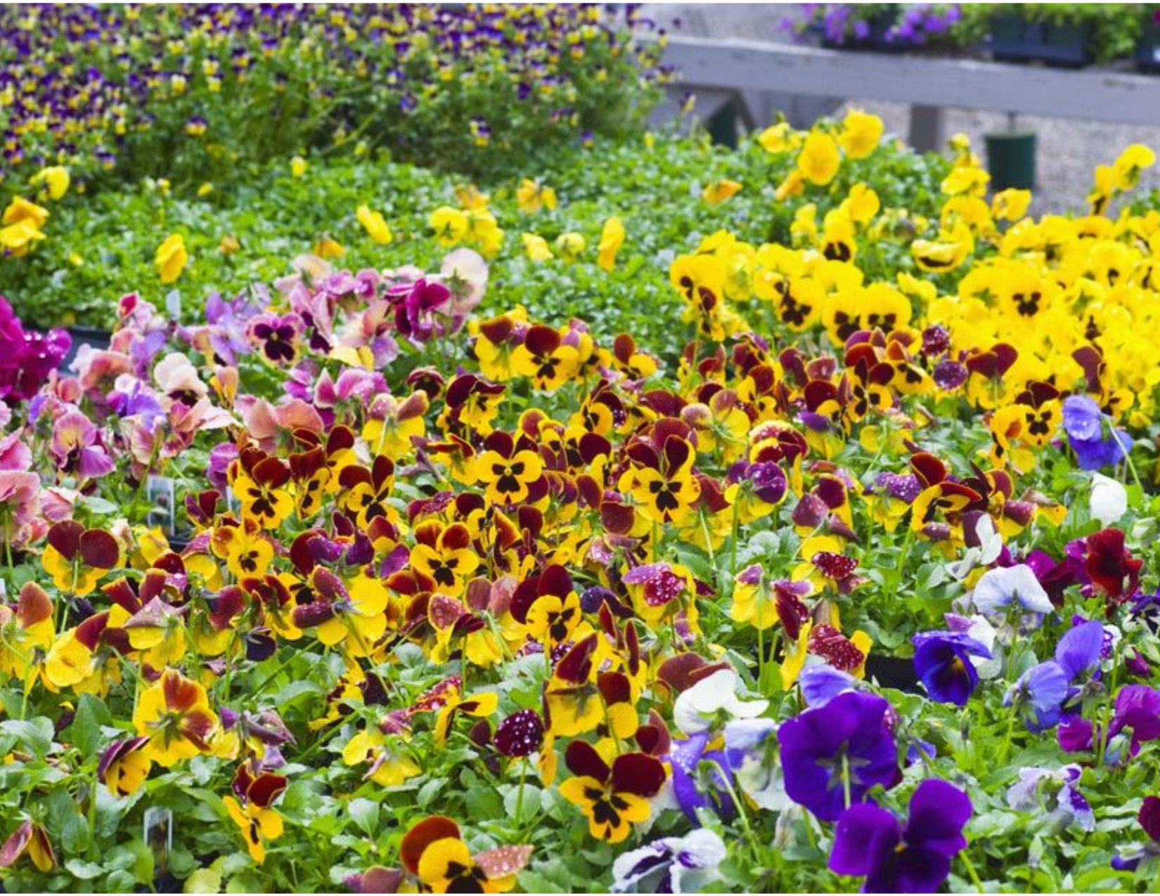 Office of Testing Services - Statesboro Campus