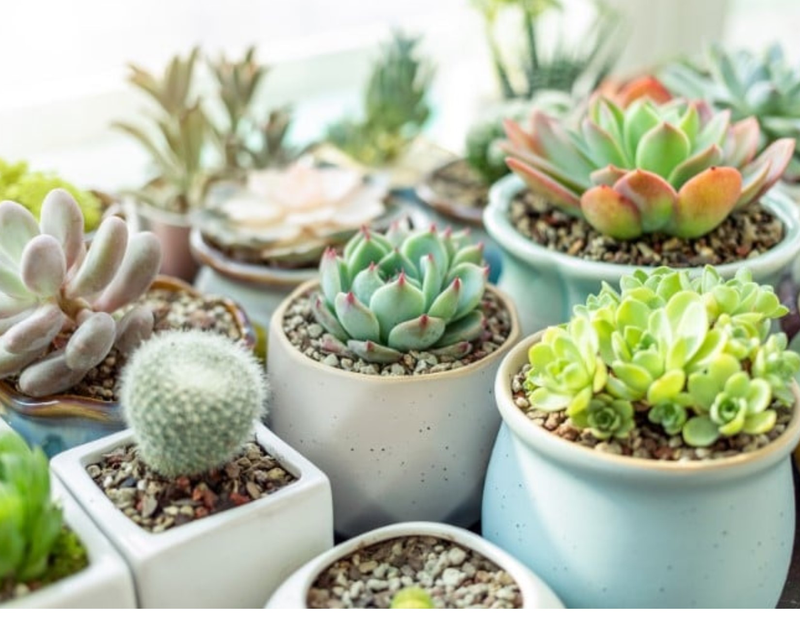 Office of Testing Services - Statesboro Campus