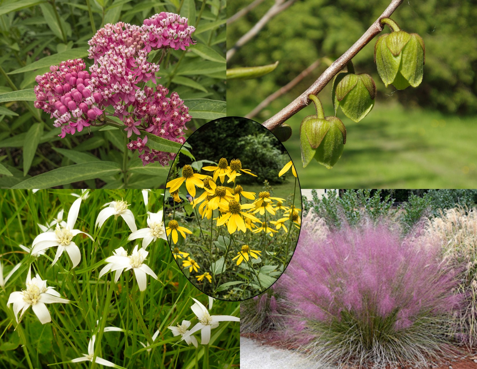 Office of Testing Services - Statesboro Campus